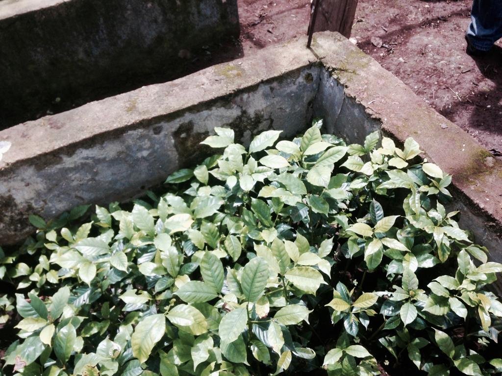 Tanzania Wanza — This Side Up