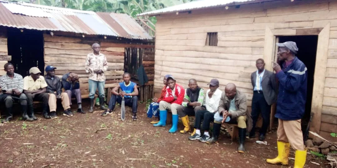 Kavumu — This Side Up