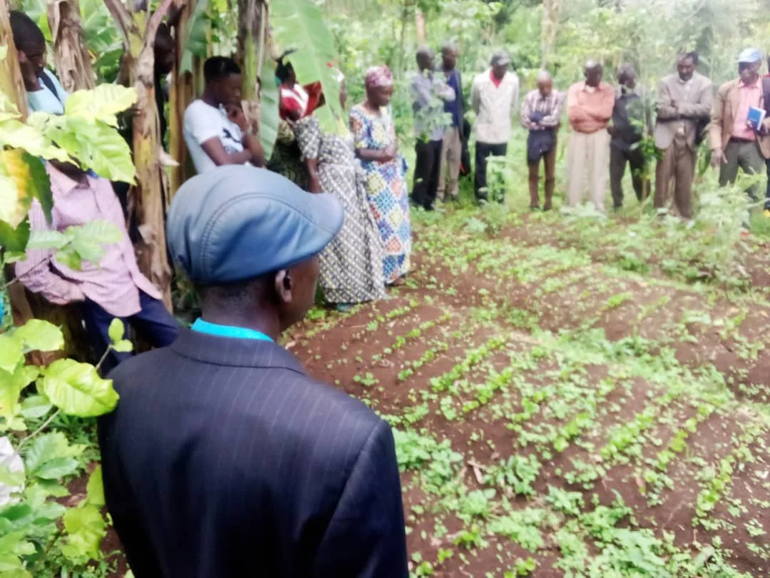 Kavumu — This Side Up