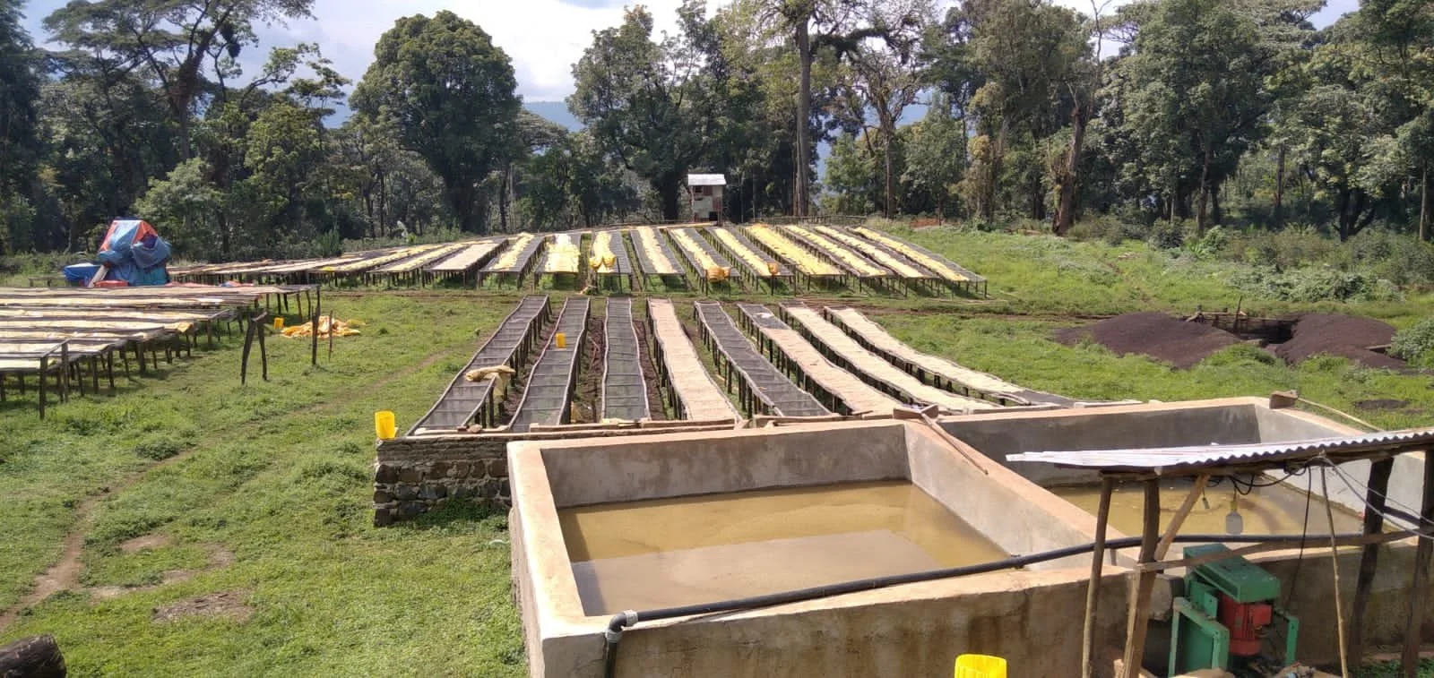 Sheka — This Side Up