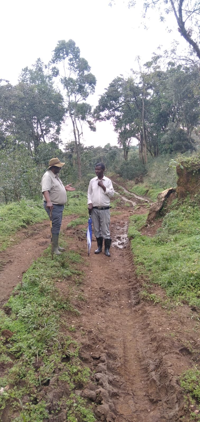 Sheka — This Side Up