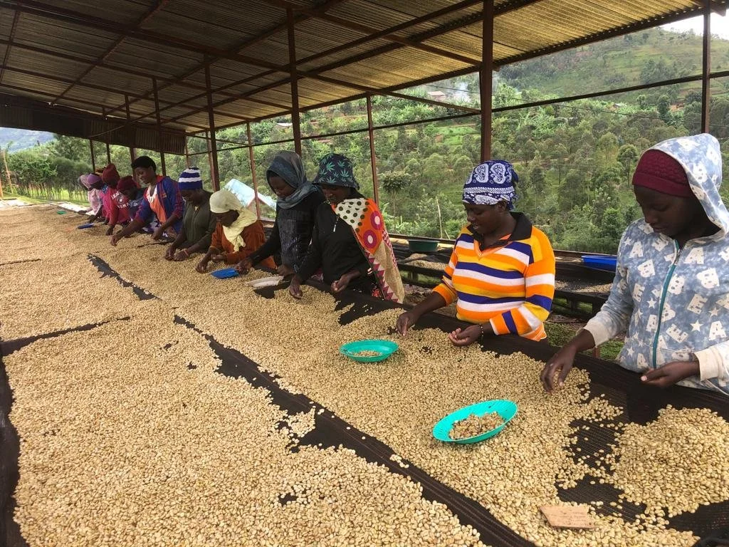 Rwanda Rushashi — This Side Up