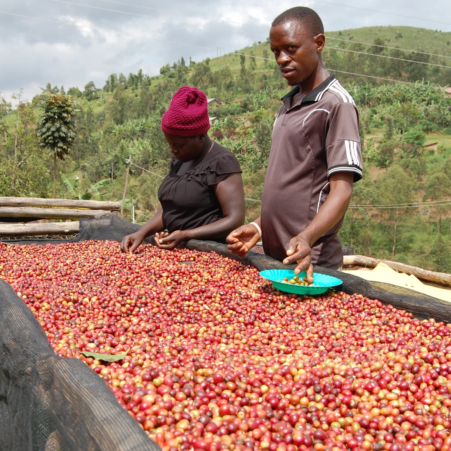 Rwanda Rushashi — This Side Up