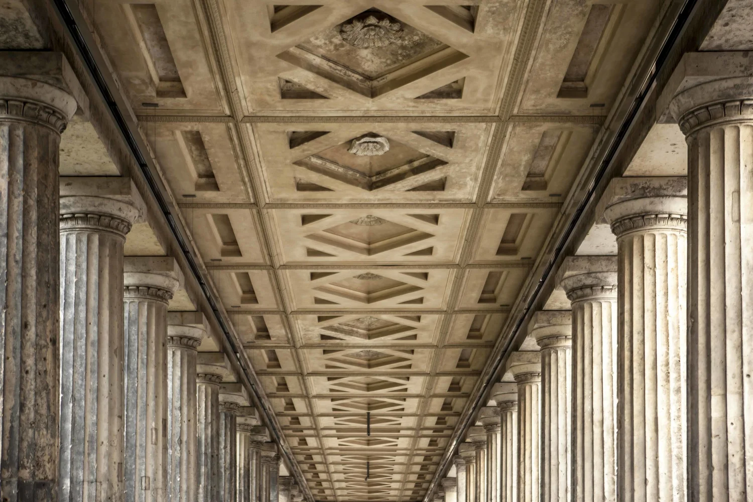 Architectural Lines — Celia Rogge Fine Arts