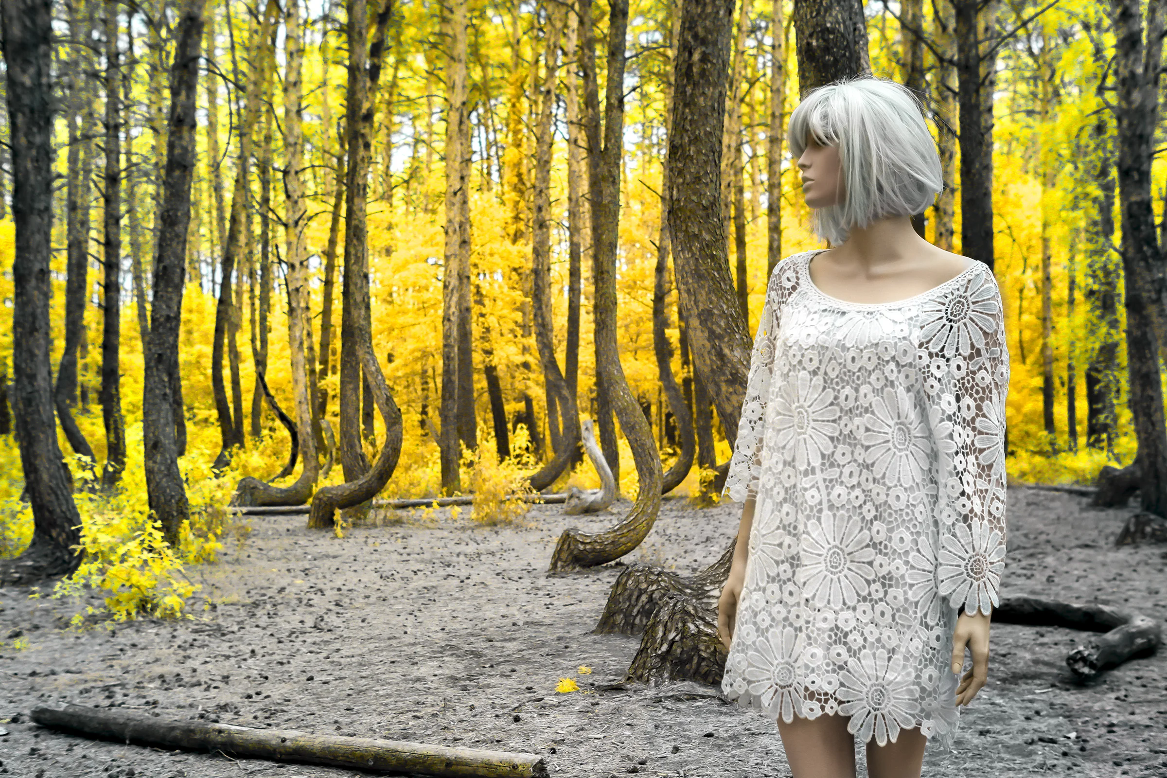 "VOLTE-FACE" — Celia Rogge Fine Arts