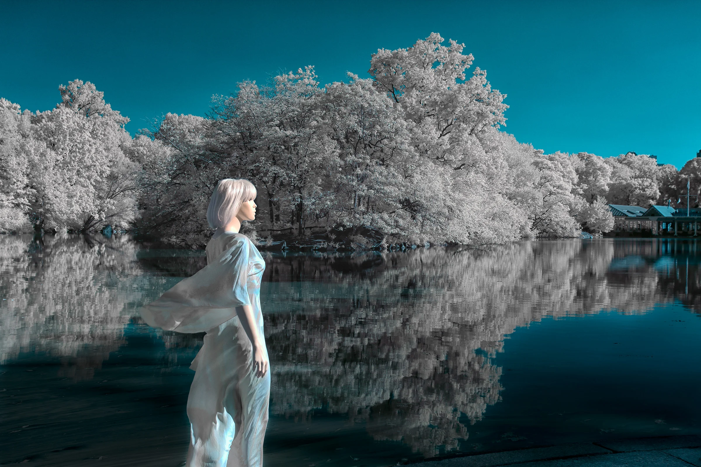 "VOLTE-FACE" — Celia Rogge Fine Arts