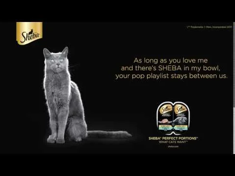 Sheba Cat Food Advert