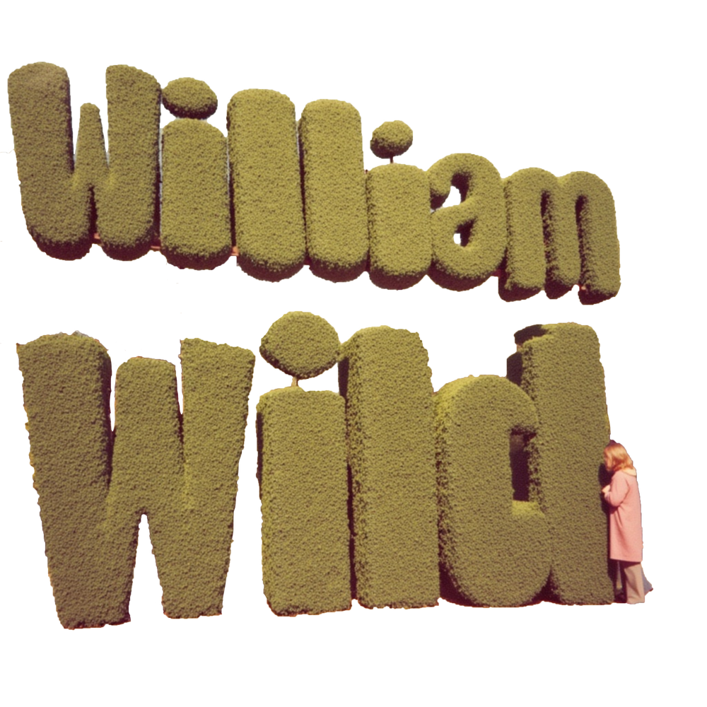 William Wild