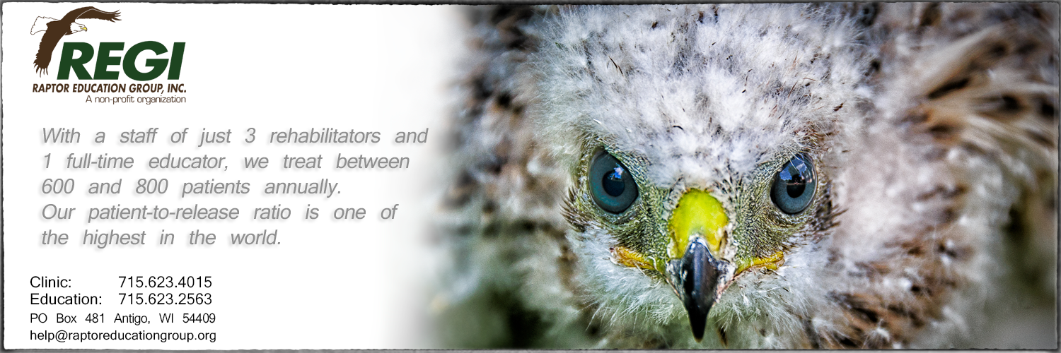 Raptor Education Group, Inc.