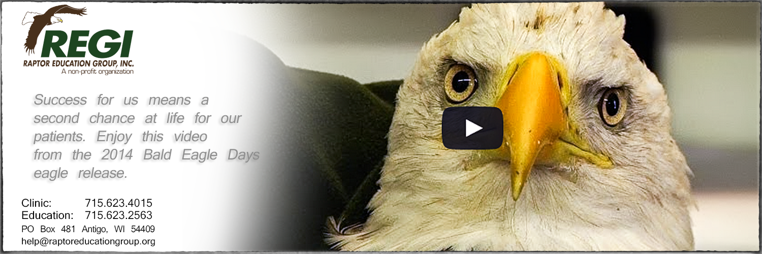 Raptor Education Group, Inc.