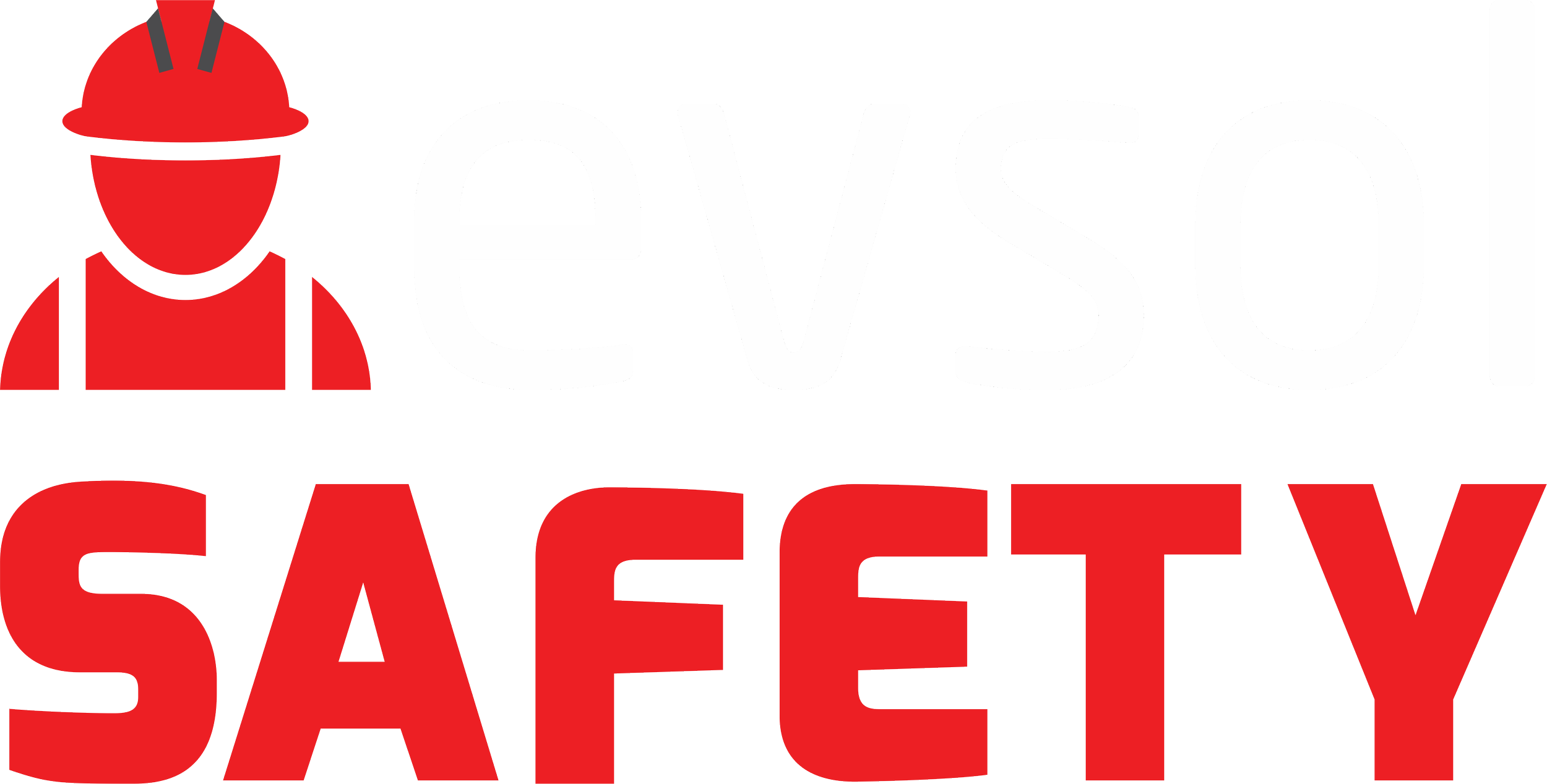 SAFETY — Evsol