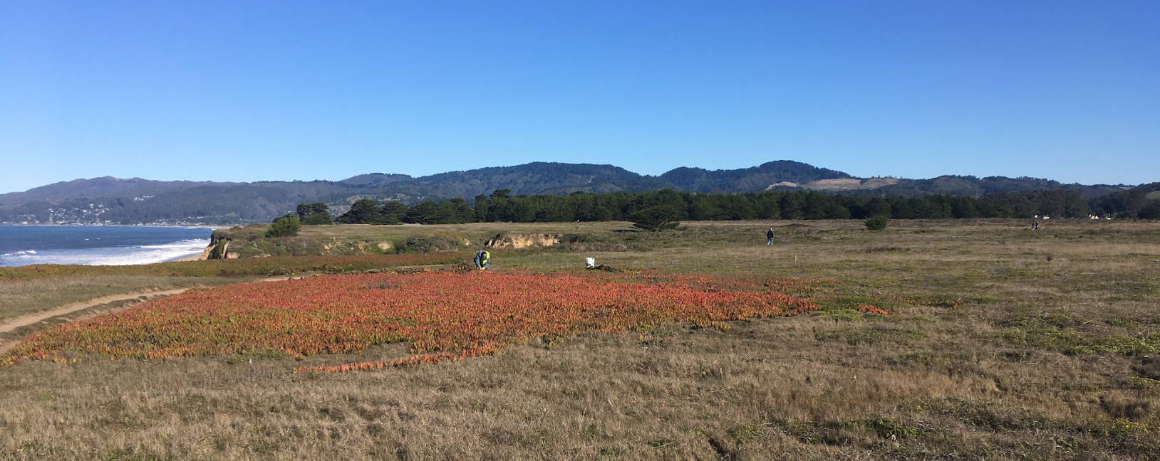 Thank you Habitat Heroes! — Coastside Land Trust