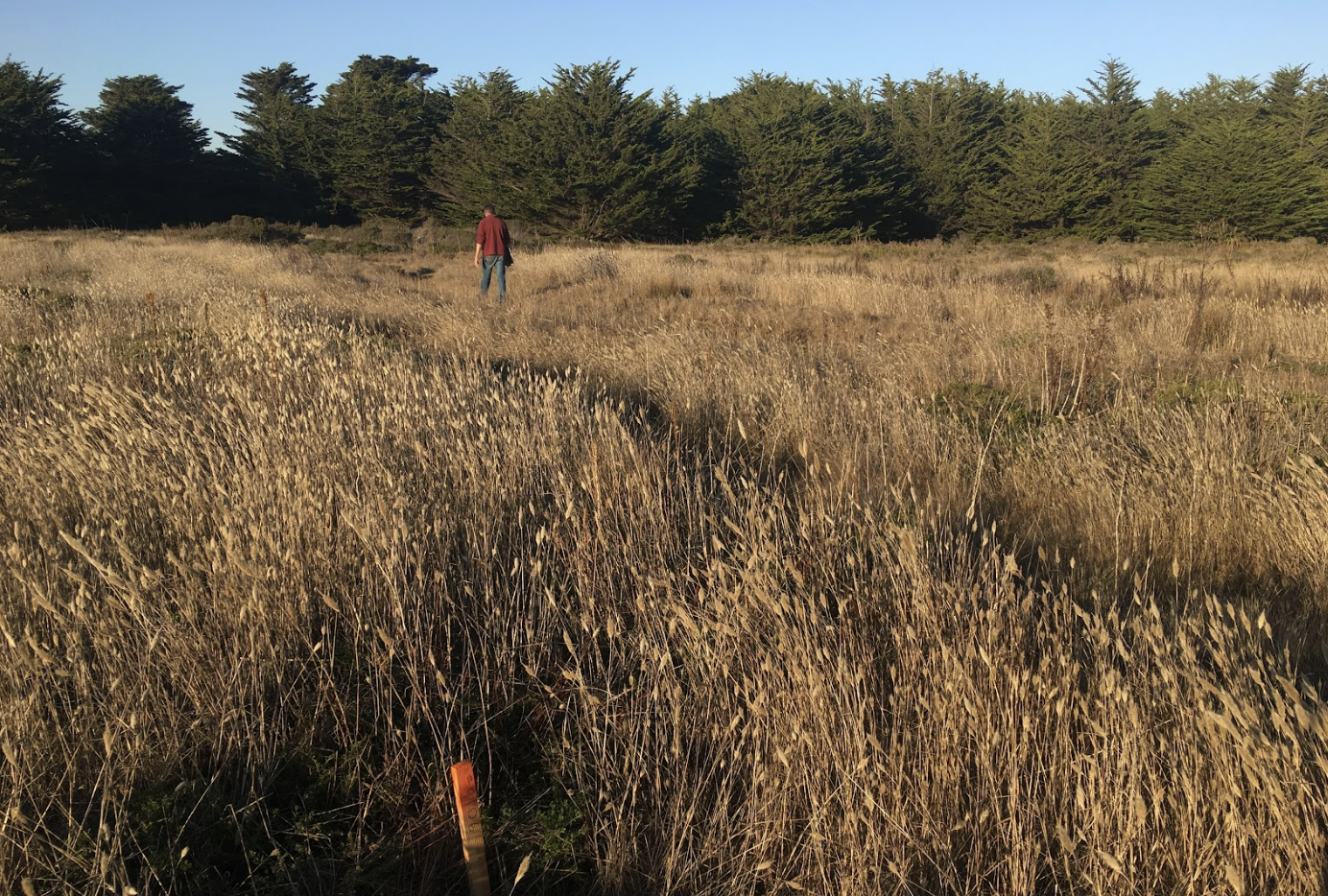 Wavecrest Trail Extension — Coastside Land Trust