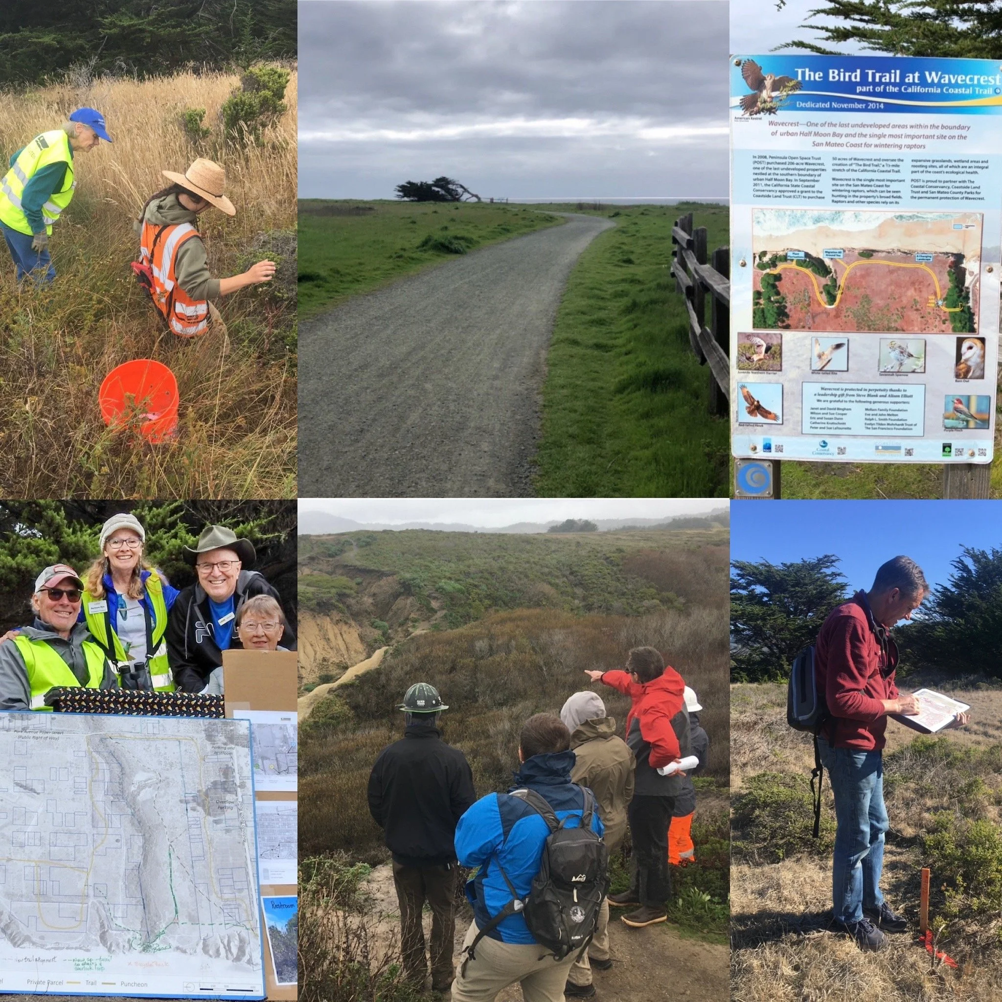 Wavecrest Trail Extension — Coastside Land Trust