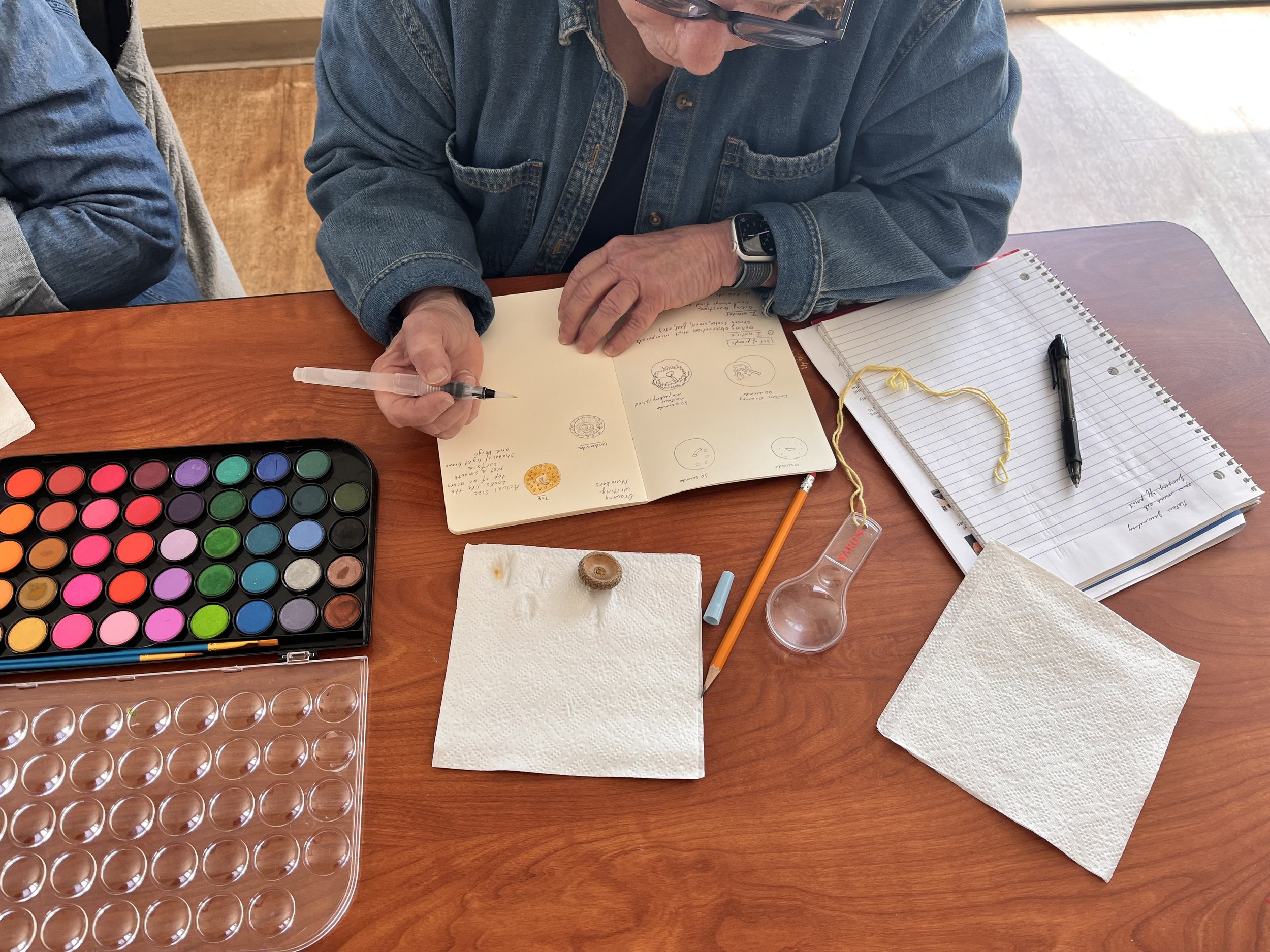 Join Community Nature Journaling Classes — Coastside Land Trust