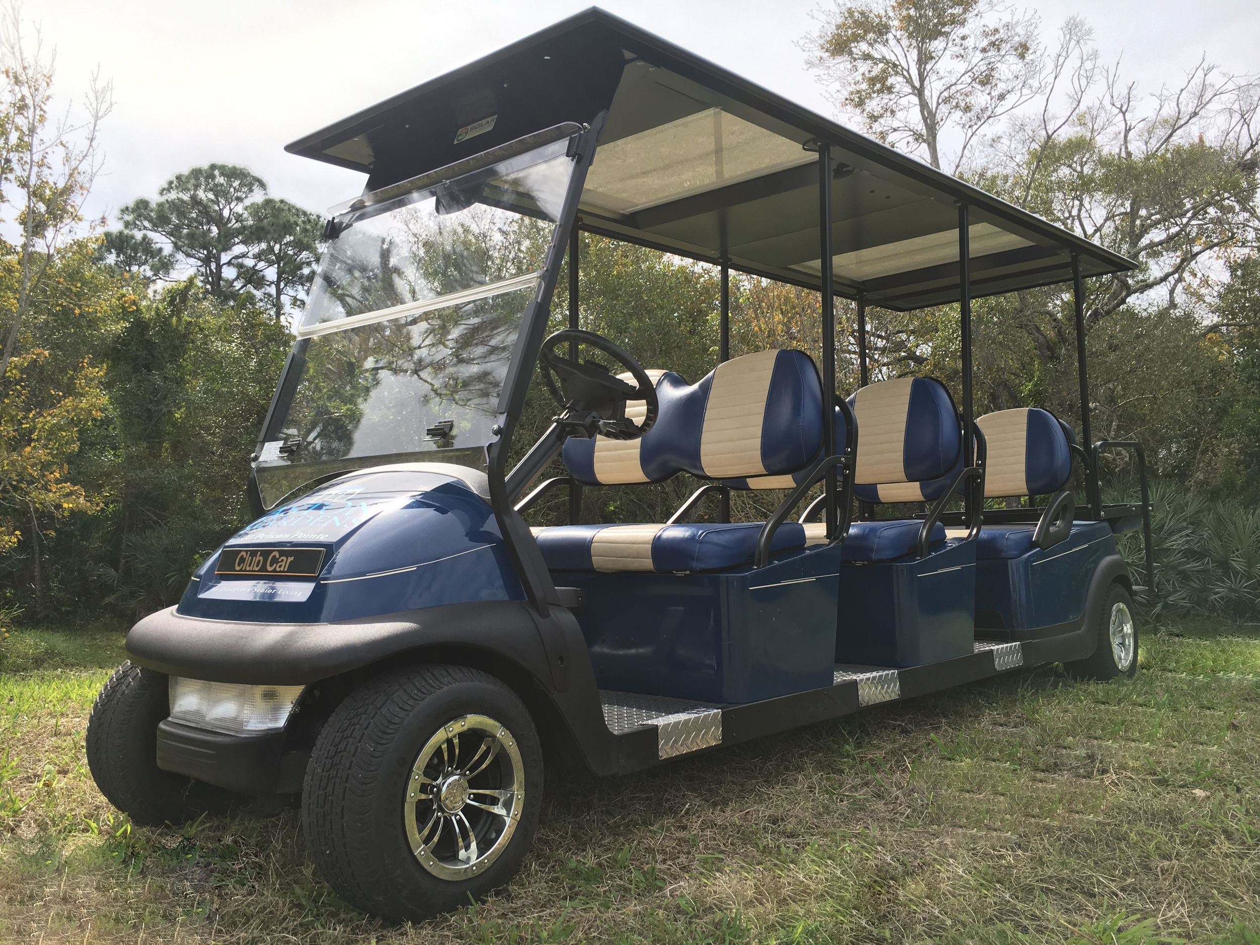 Solar EV Systems - Solar Golf Carts, Roof, Tops, Solar Panel LSV Cart ...
