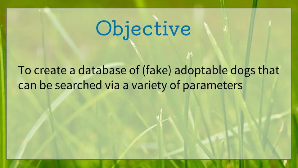 Dog Adoption Database — Erin Donohue