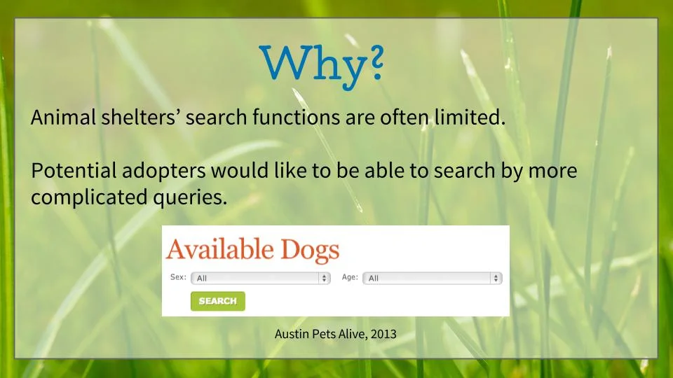 Dog Adoption Database — Erin Donohue