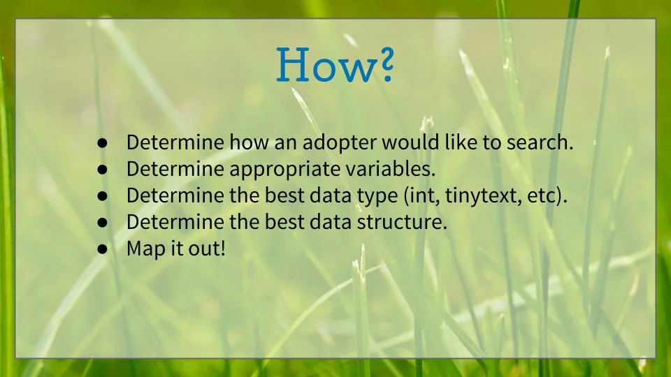 Dog Adoption Database — Erin Donohue