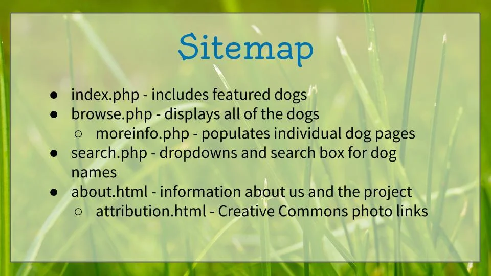 Dog Adoption Database — Erin Donohue