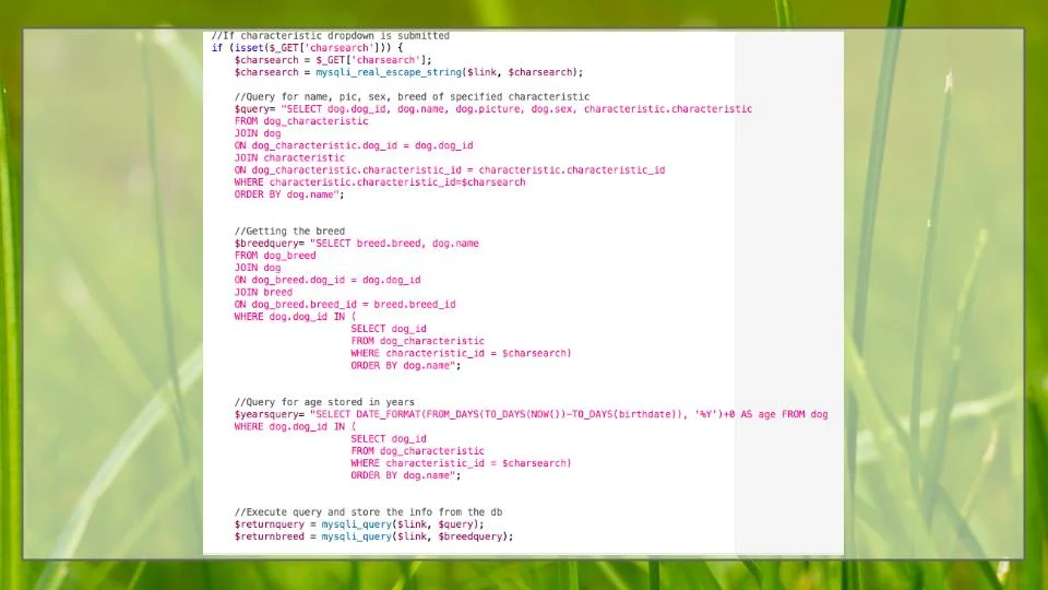 Dog Adoption Database — Erin Donohue