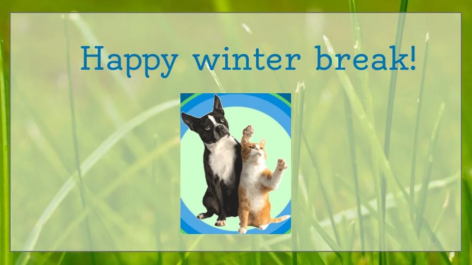 Dog Adoption Database — Erin Donohue