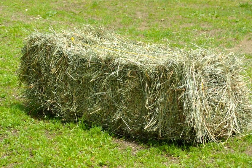Handy Hay Nets Saving you TIME, MONEY & HAY so you can go PLAY!