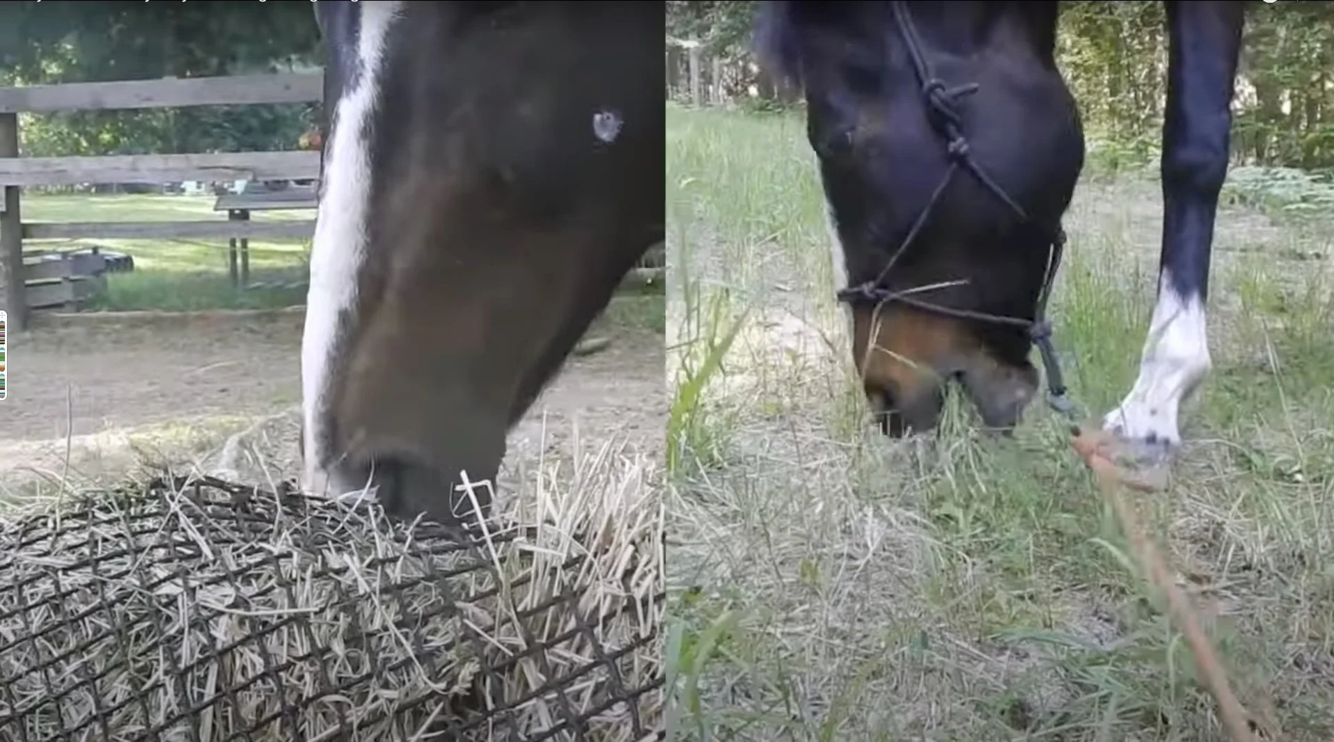 Handy Hay Nets Save you TIME, MONEY & HAY so you can go PLAY
