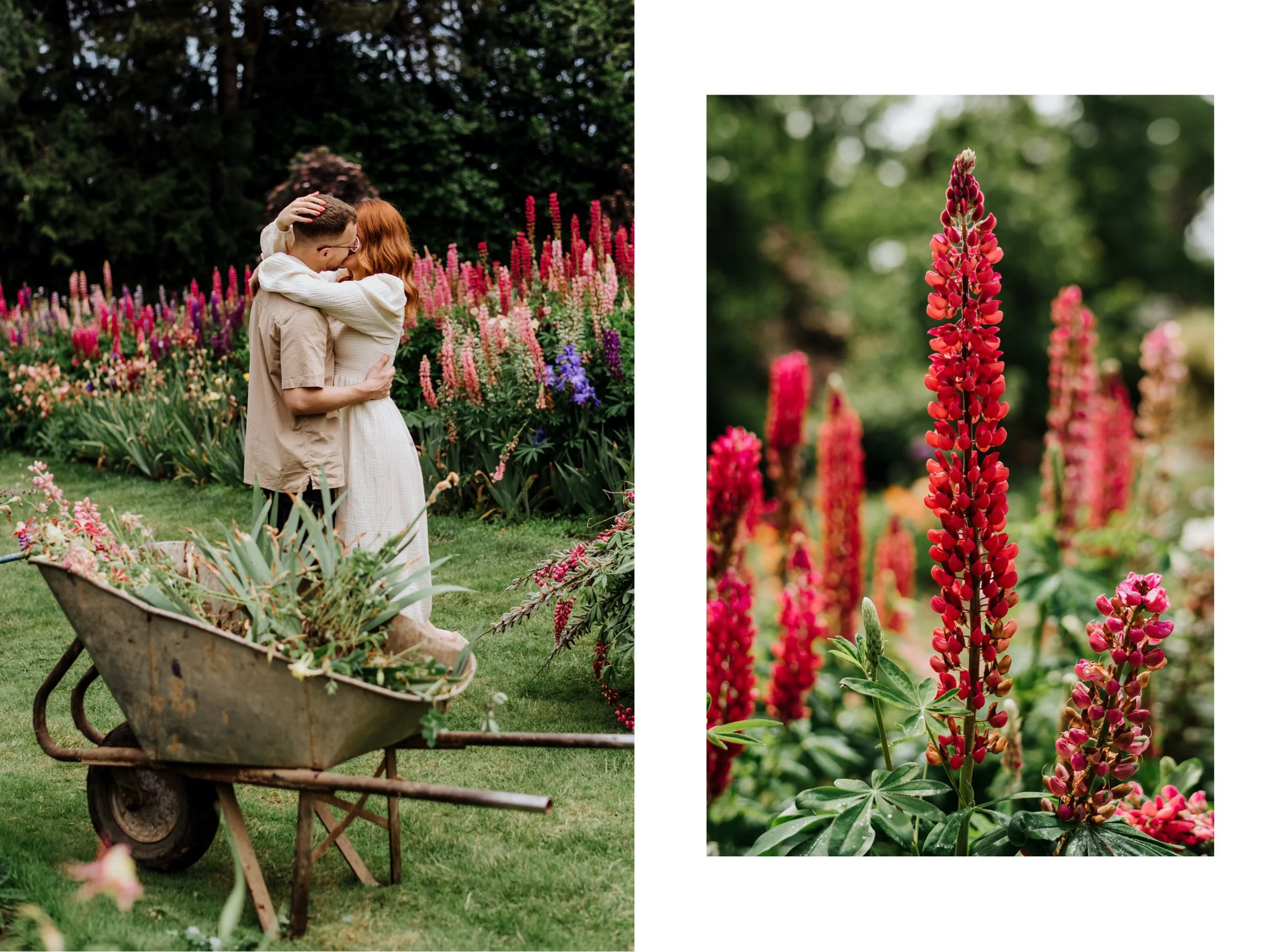Colorful Iris farm anniversary session | Veronkia + Daniel — Karina ...