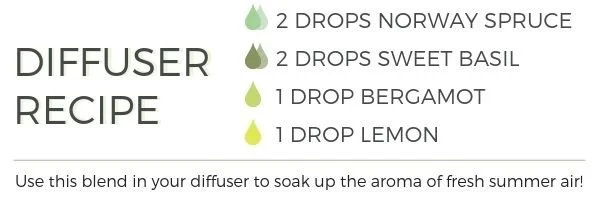 DesBio Comprehensive Detox Kit