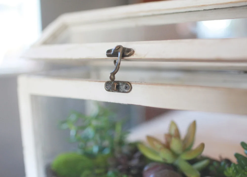 How to Build Your Own Terrarium — Nesting Gypsy