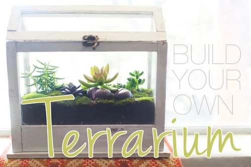 How to Build Your Own Terrarium — Nesting Gypsy