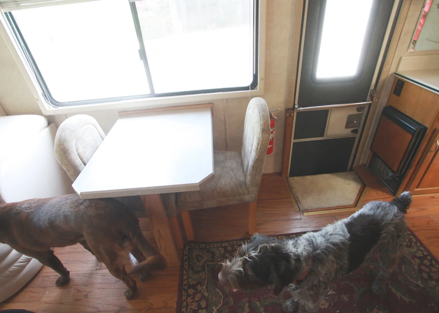 The RV Remodel Begins — Nesting Gypsy