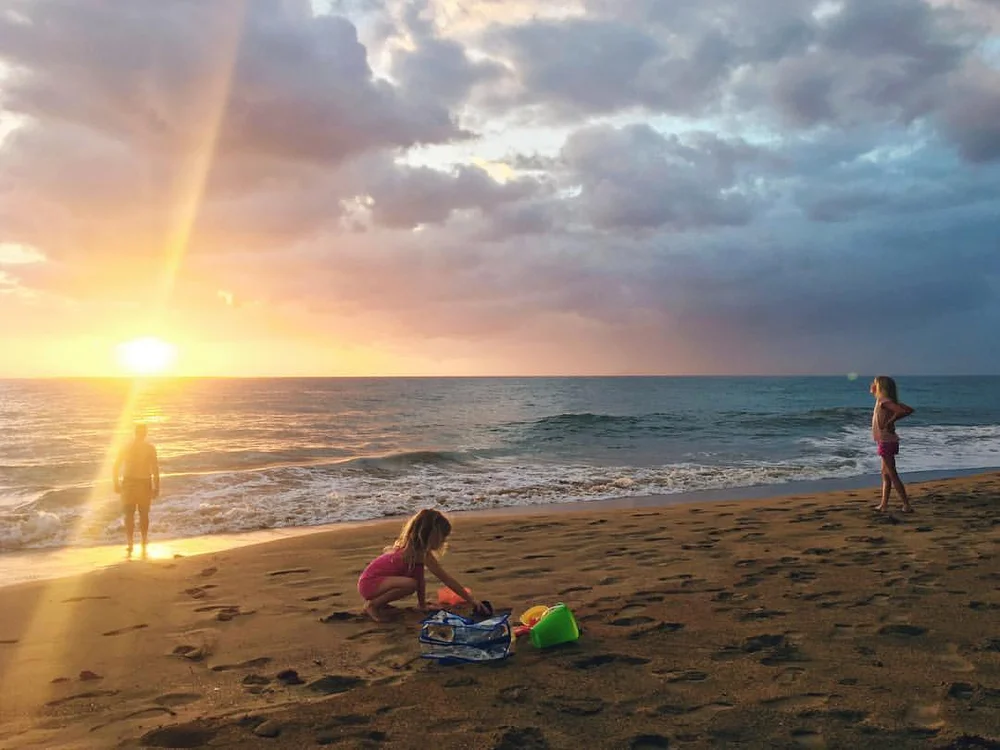 The Puerto Rico Experiment — Nesting Gypsy