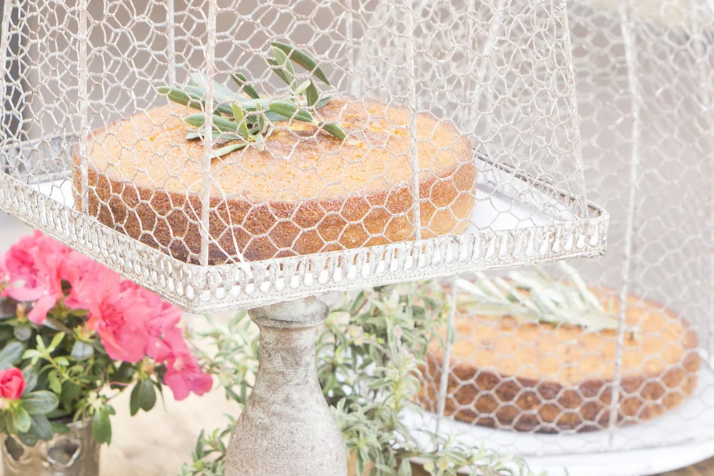 Parties — Bon Fortune