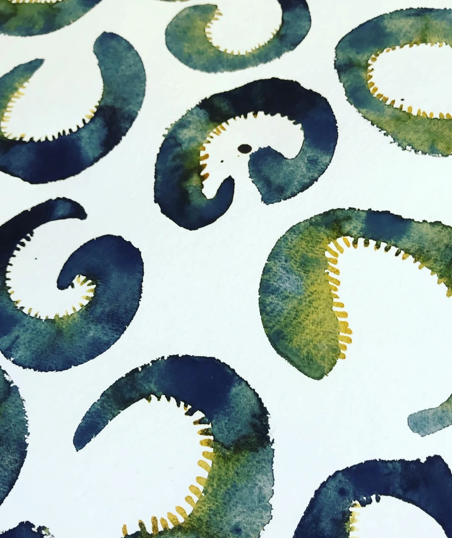 Five Ways To Work With Woad — Plants & Colour