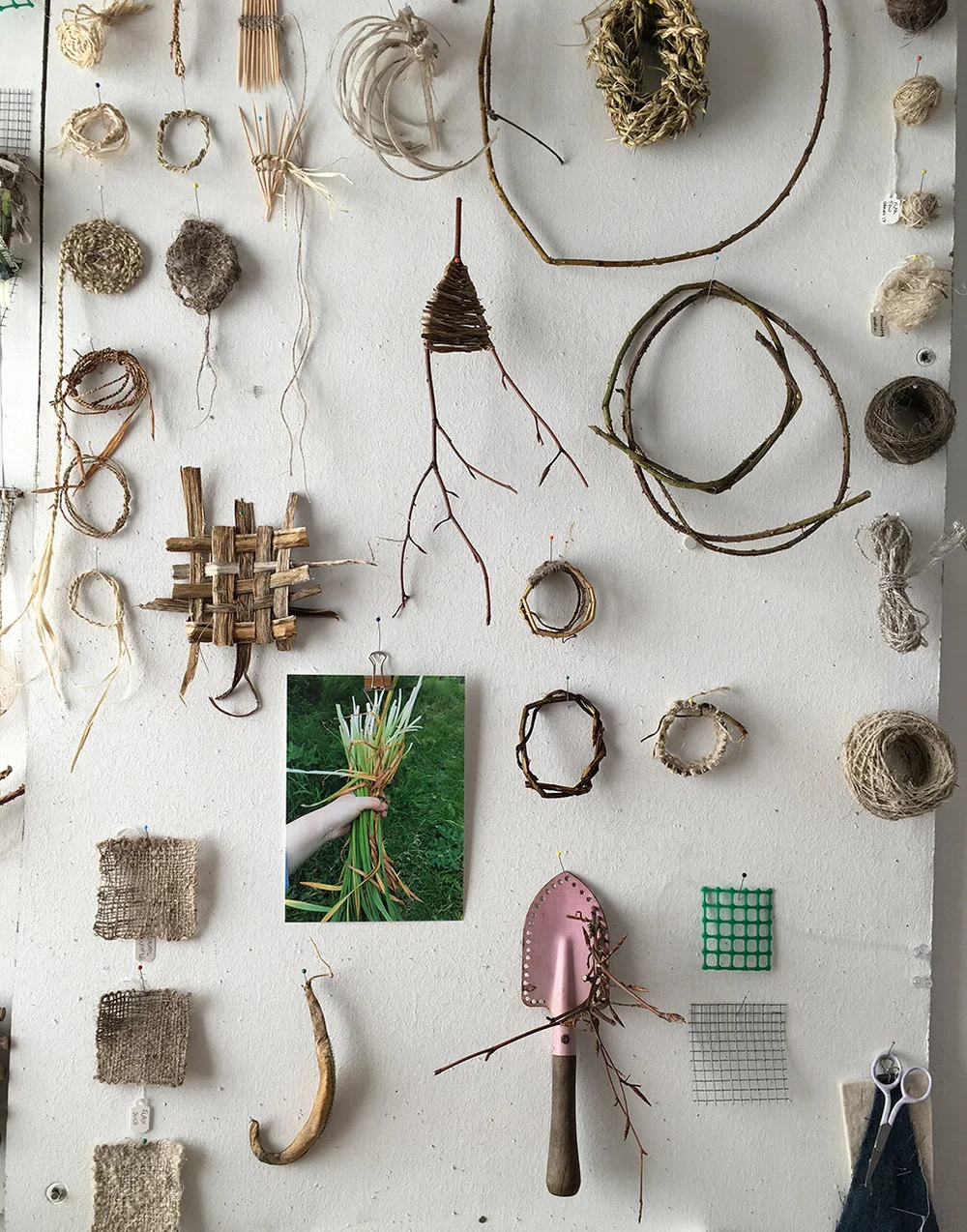 Alice Fox — Plants & Colour