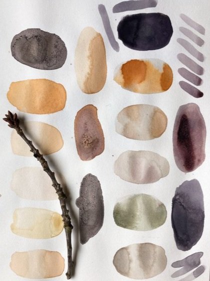 Natural Colour Making For Artists — Plants & Colour
