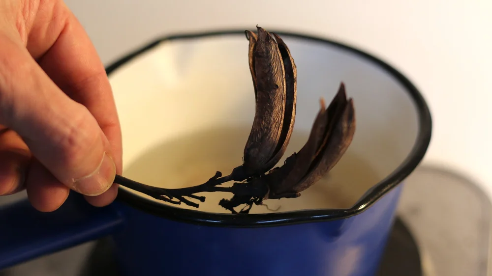 Making Tannin Inks — Plants & Colour