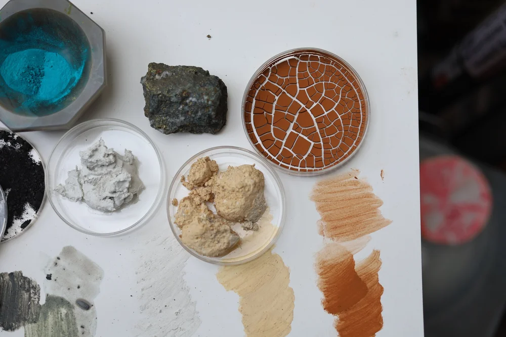 Natural Colour Making For Artists — Plants & Colour