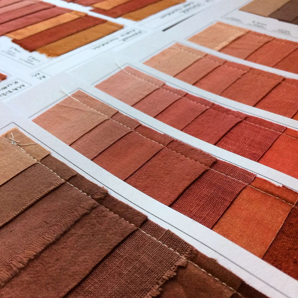 A Deep Dive: Dyeing With Madder — Plants & Colour