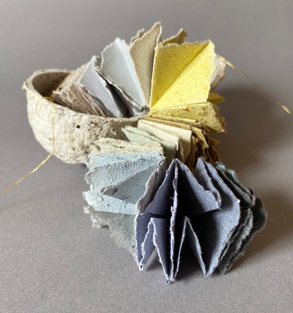 Paper Making With Sarah Grace Dye — Plants & Colour