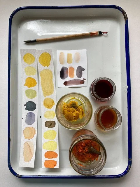 Natural Colour Making For Artists — Plants & Colour