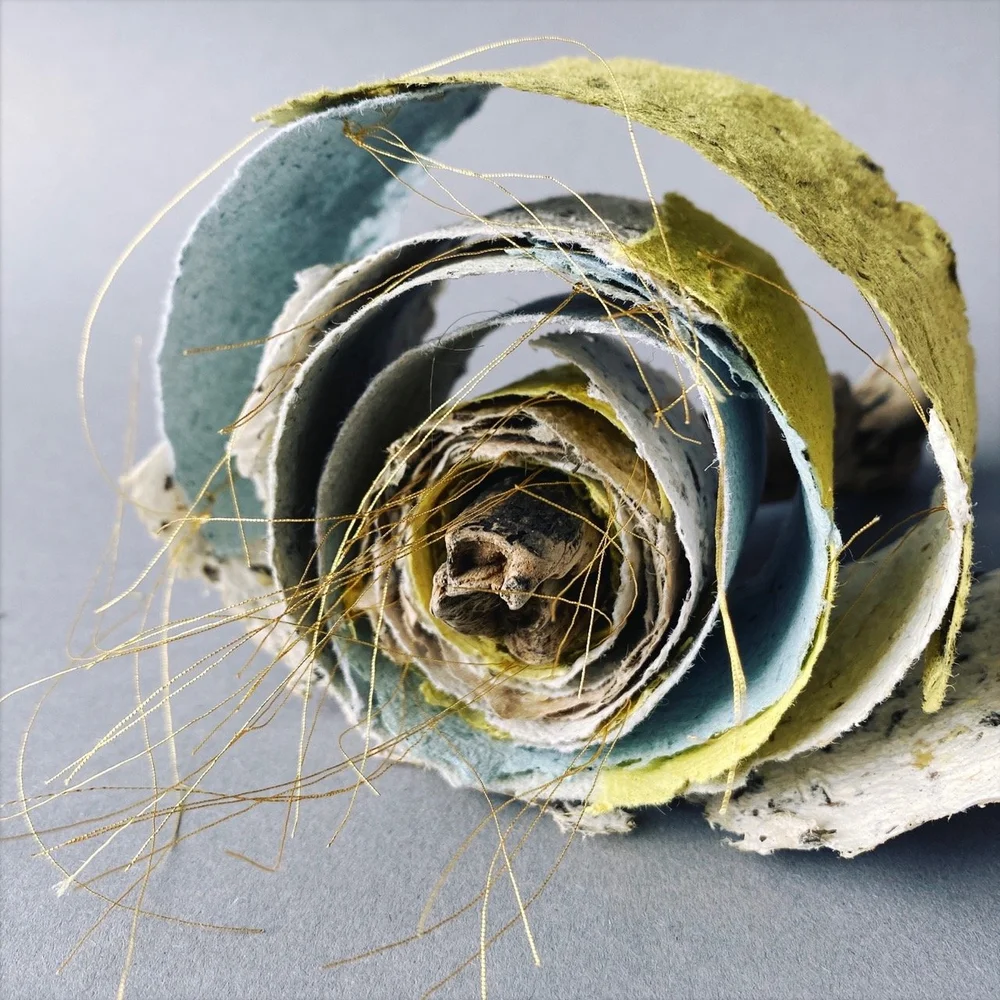 Paper Making With Sarah Grace Dye — Plants & Colour