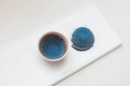 Natural Colour Making For Artists — Plants & Colour