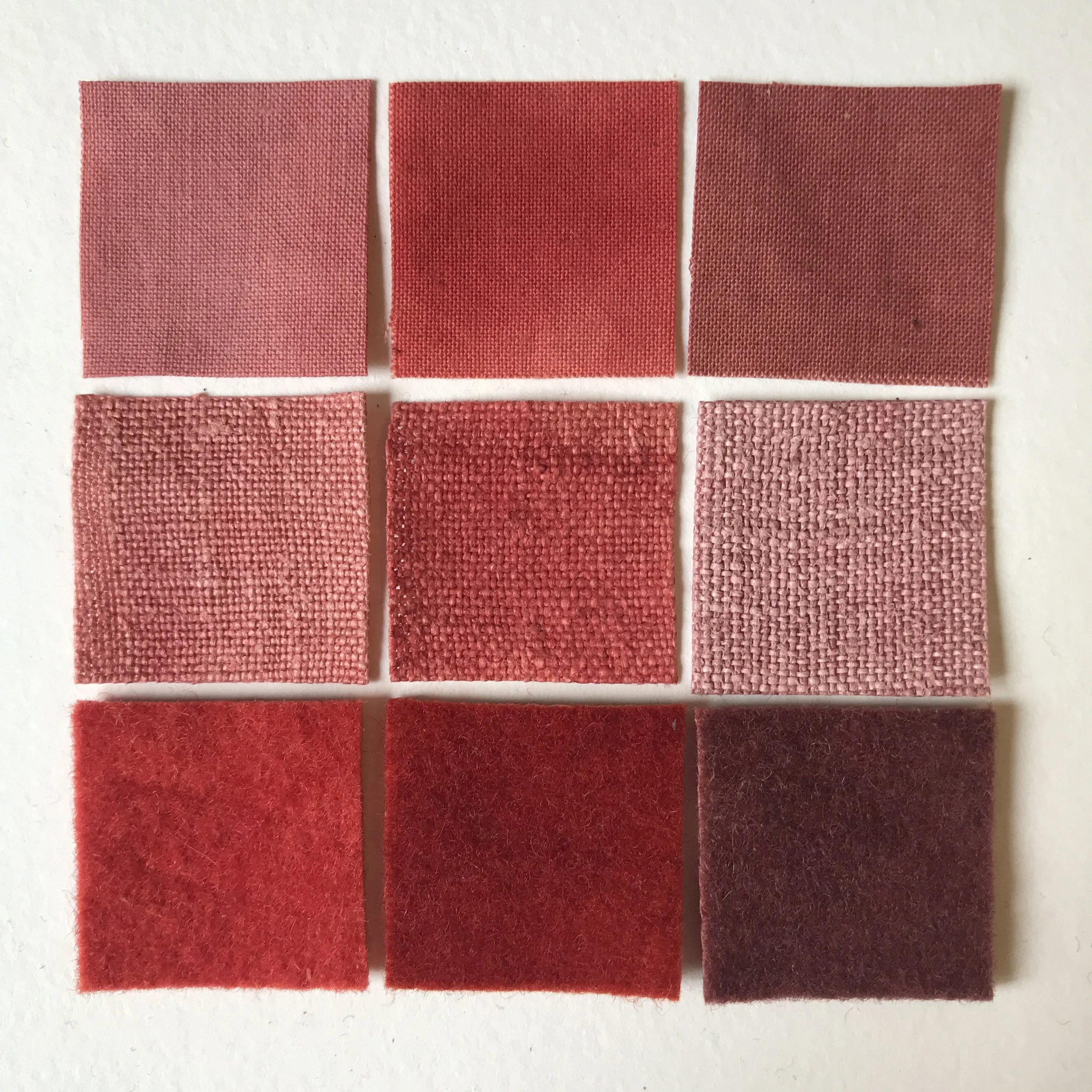 A Deep Dive: Dyeing With Madder — Plants & Colour