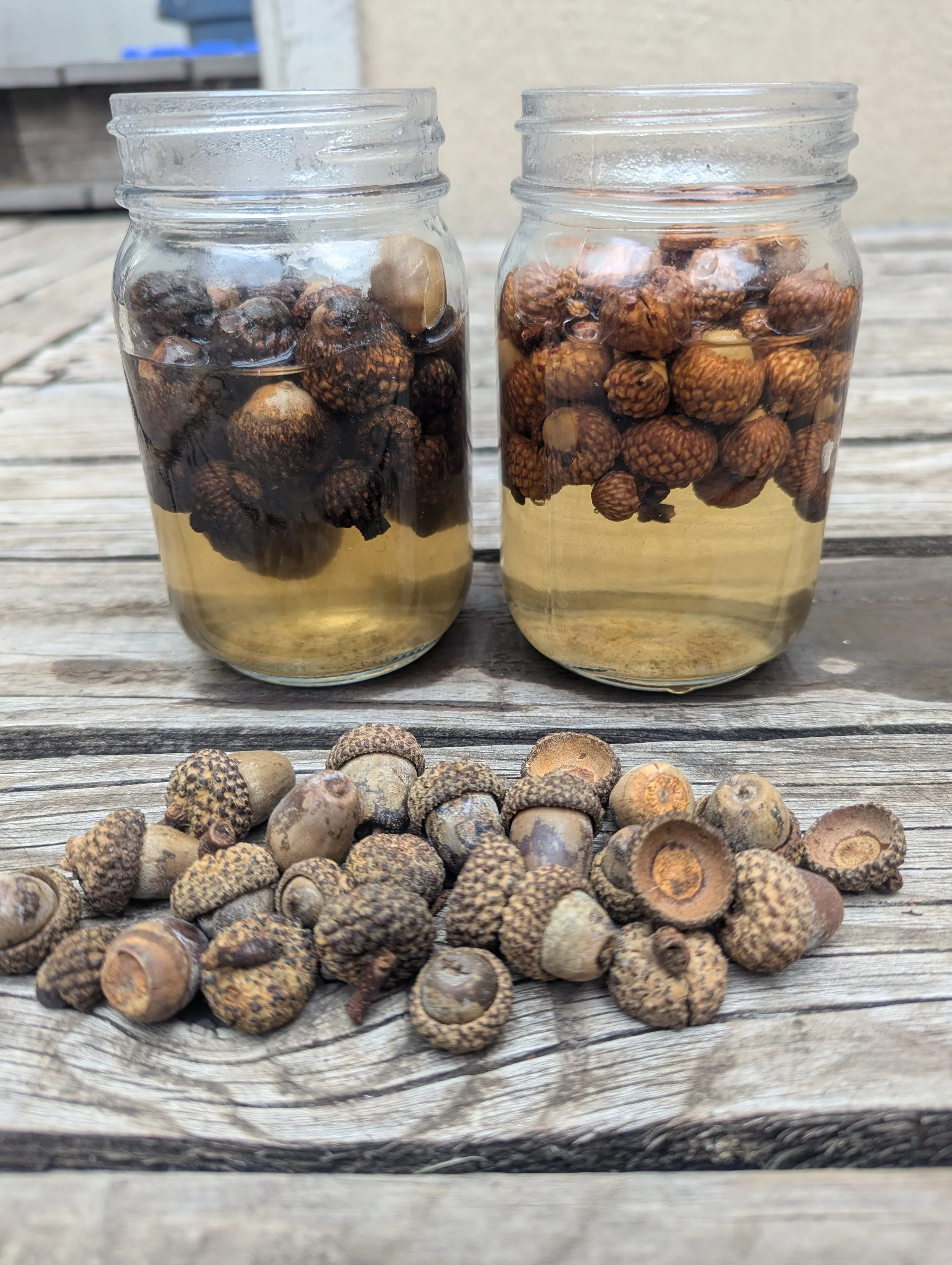 Making Natural Oil Based Printing Inks — Plants & Colour