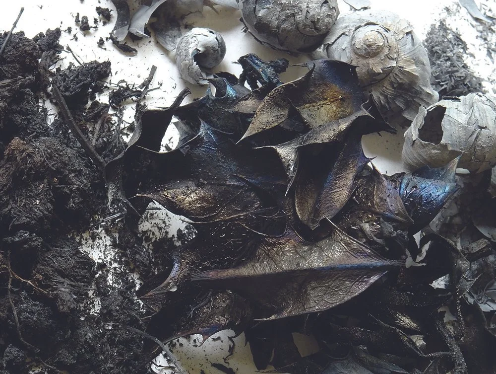 Natural Colour Making For Artists — Plants & Colour