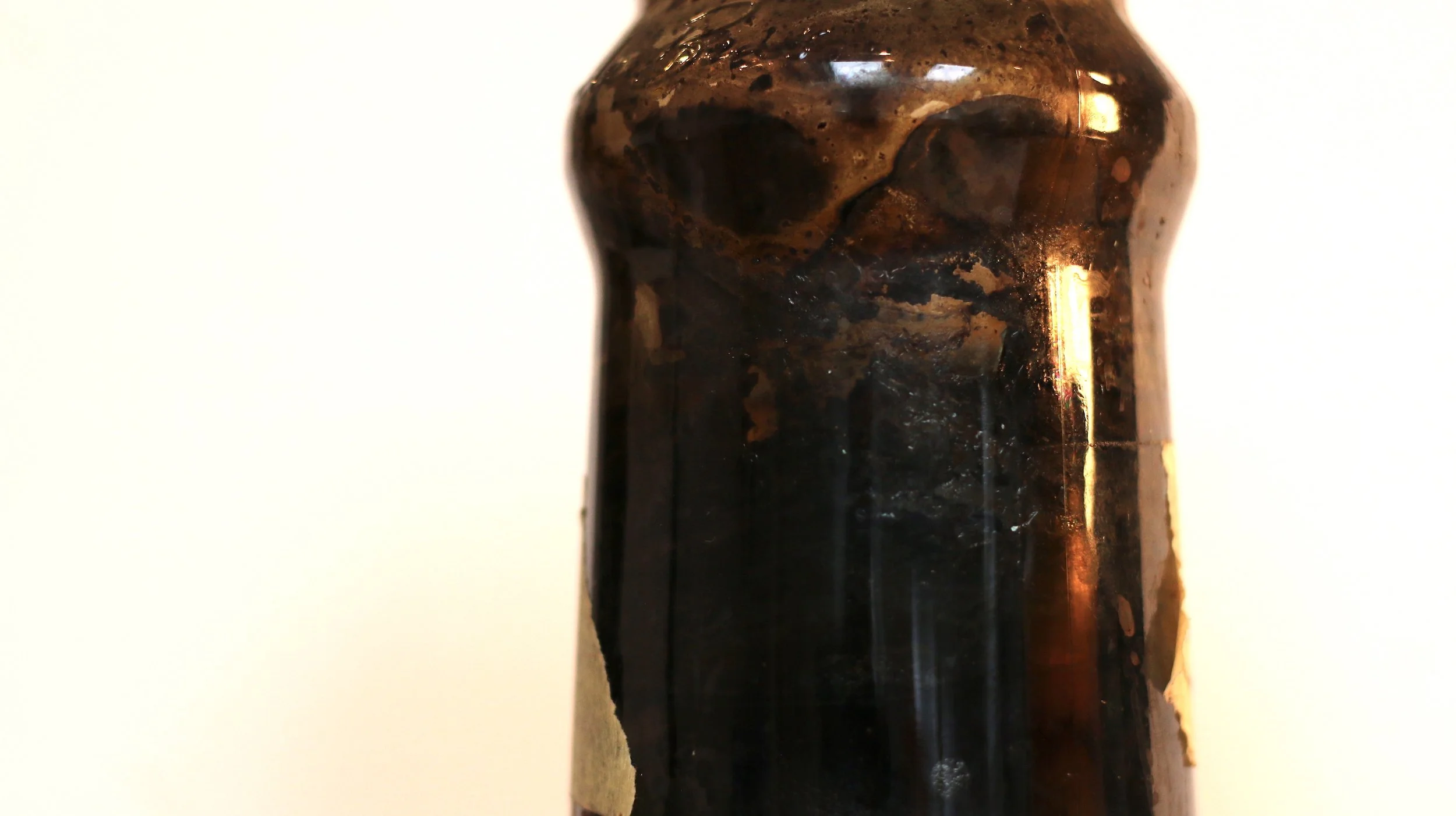 Making Tannin Inks — Plants & Colour