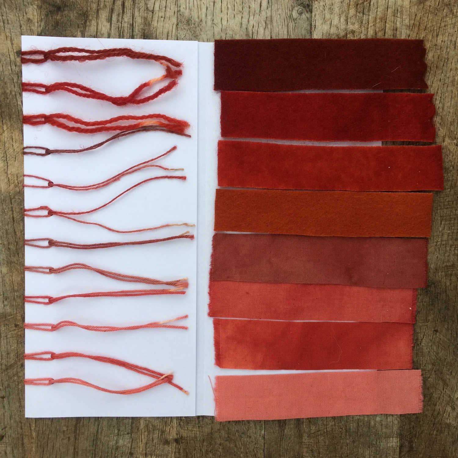 A Deep Dive: Dyeing With Madder — Plants & Colour
